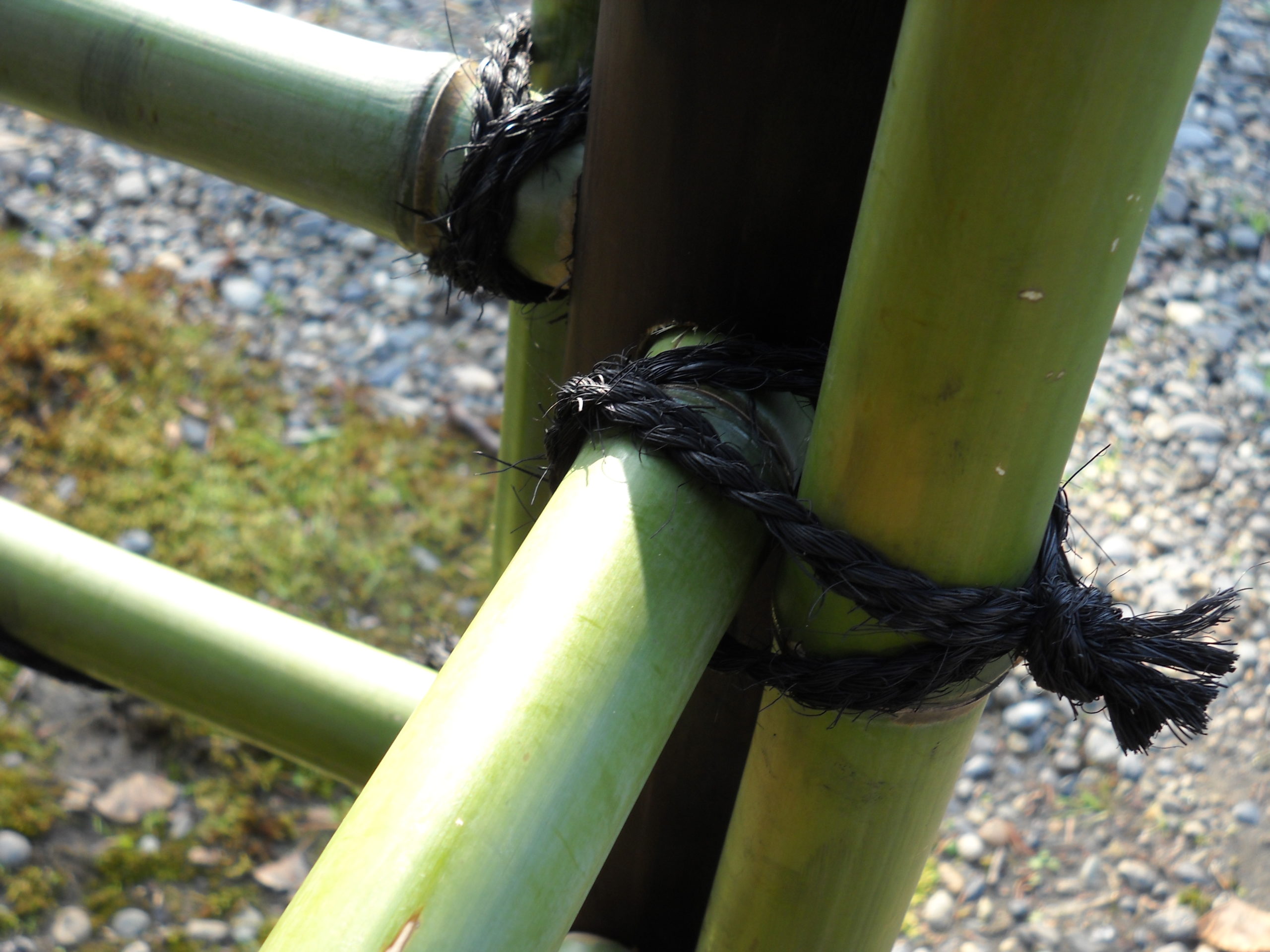 四ツ目垣の作り方（胴縁四段吹き寄せ） 十川日本庭園研究室